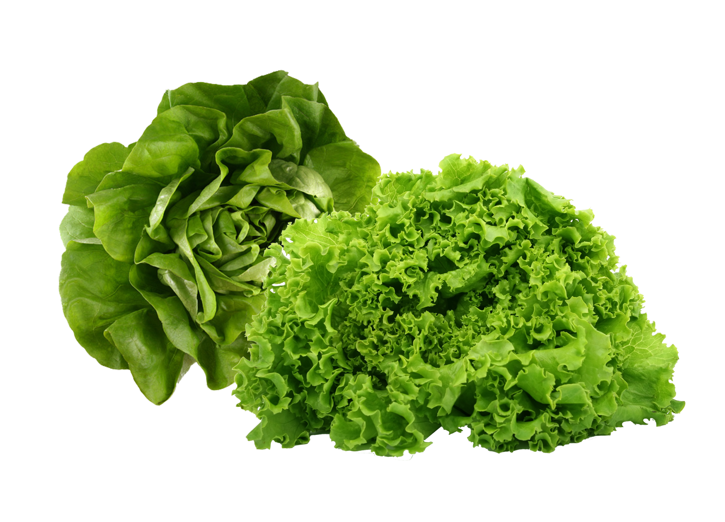 Vida Natural Hortaliças